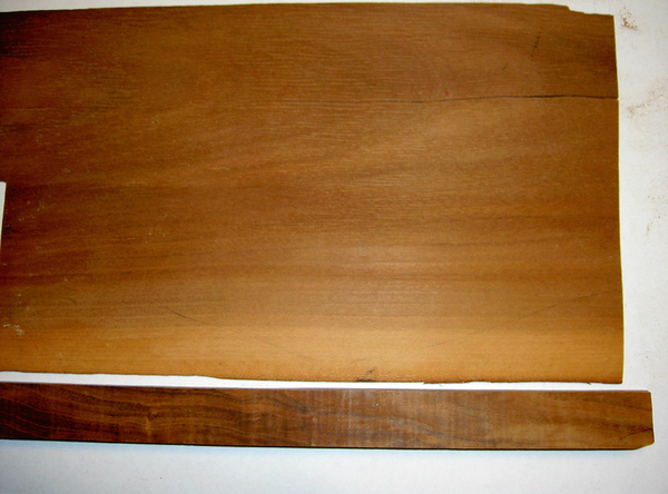 Zwetschke – KiwiThek